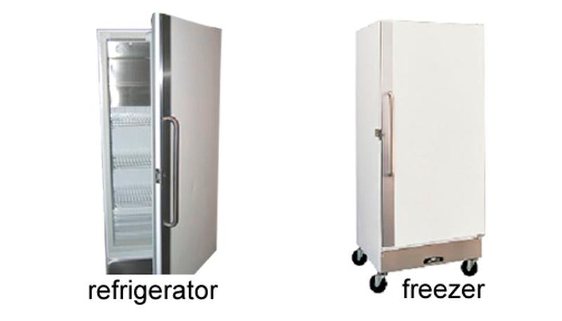 Refgrigerator Freezer Large Capacity | Rental Reception Banquet ...