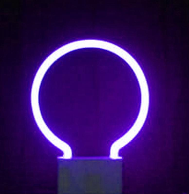 Purple Circle Neon Light | Event Banquet Wedding Party | Ultimate Events